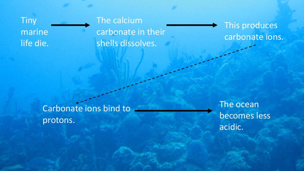 Tiny shells reveal clues to ocean health in North Pacific – Climate Change